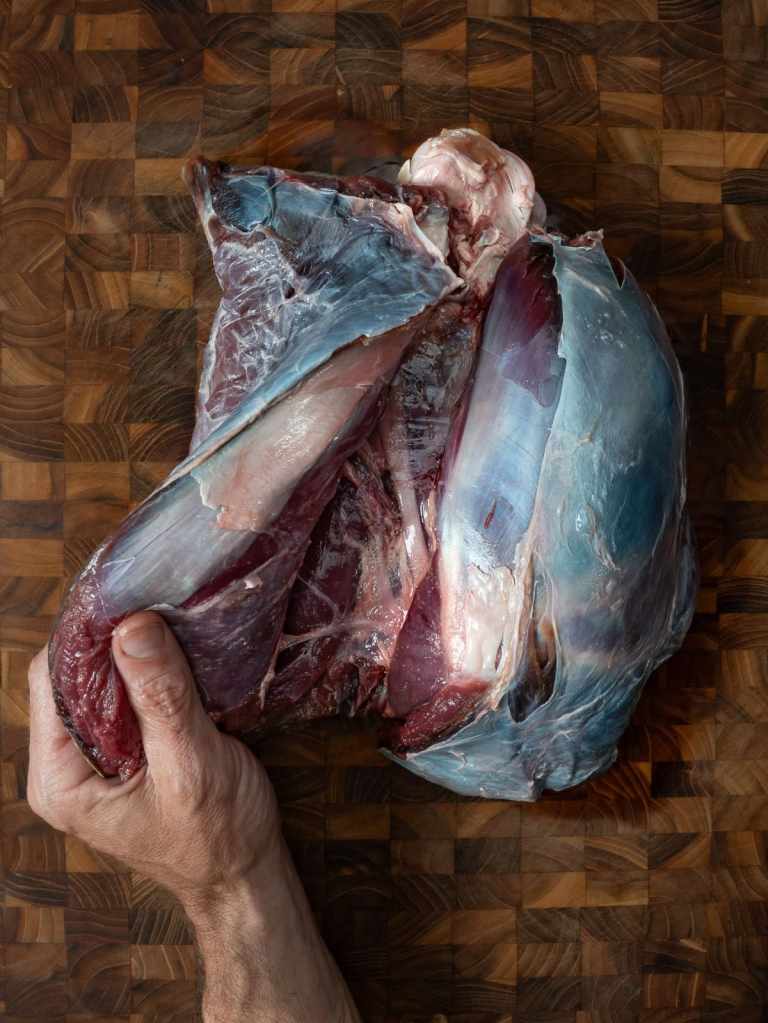 How to Break Down a Venison Hind Quarter and Identify Cuts