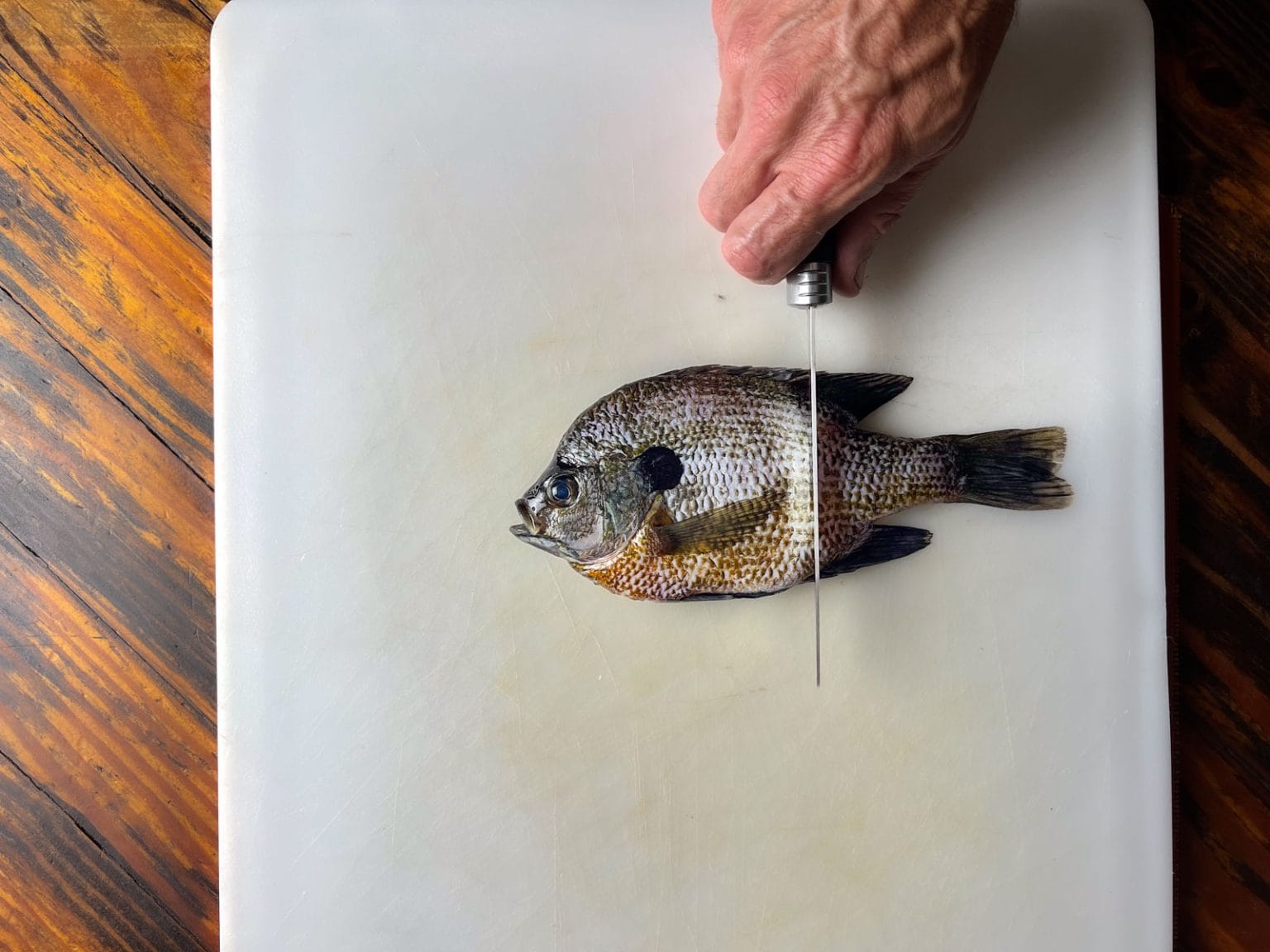 Easy Buttermilk Fried Bluegill Recipe | Pan or Deep Fried